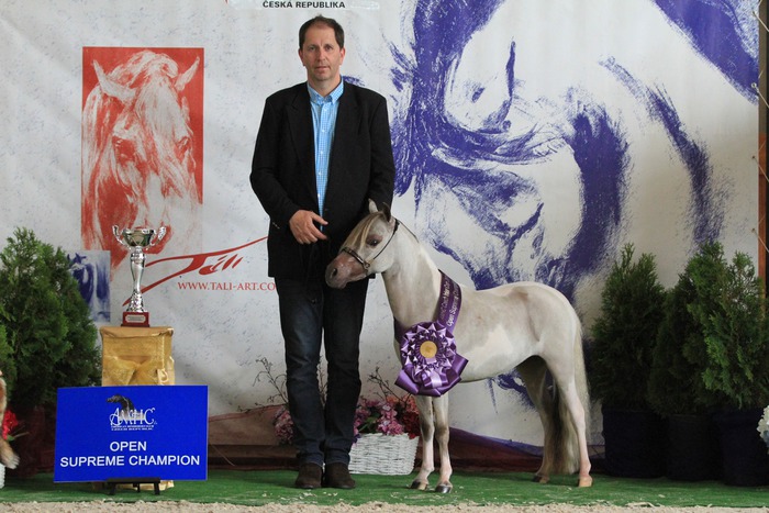 en-Tikitano Crowning Prince Crystaline :: Tikitano2